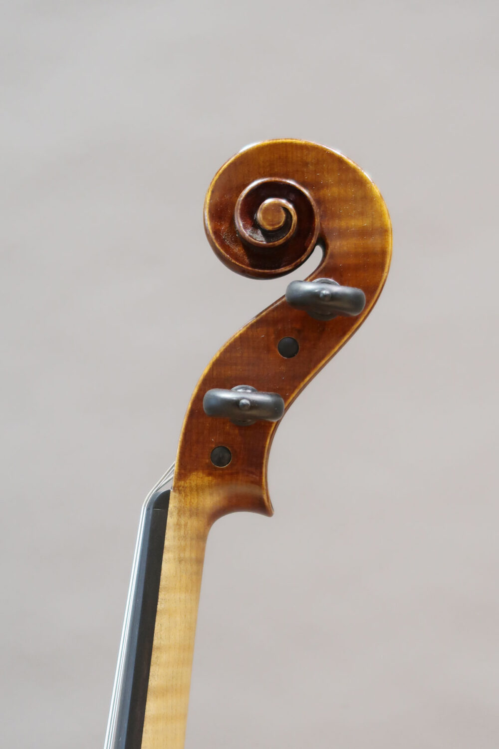 Interesting Viola Labelled Alfredo Primavera 407mm - 名古屋の弦楽器専門店 KAEDE ...